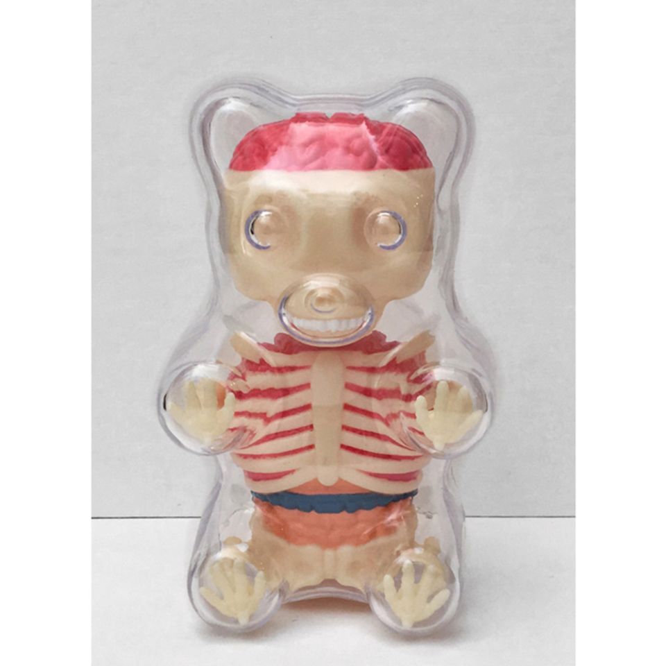 Gummy Bear Anatomy Model 4D Master Baby Gummi Bear Skeleton Model Kit