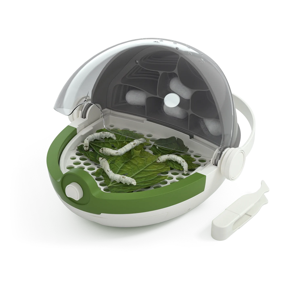 Insect Growth Station