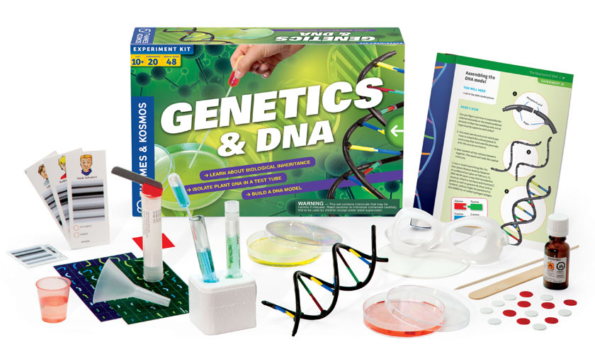 Award winning activity kit for kids interested in Genetics and DNA.