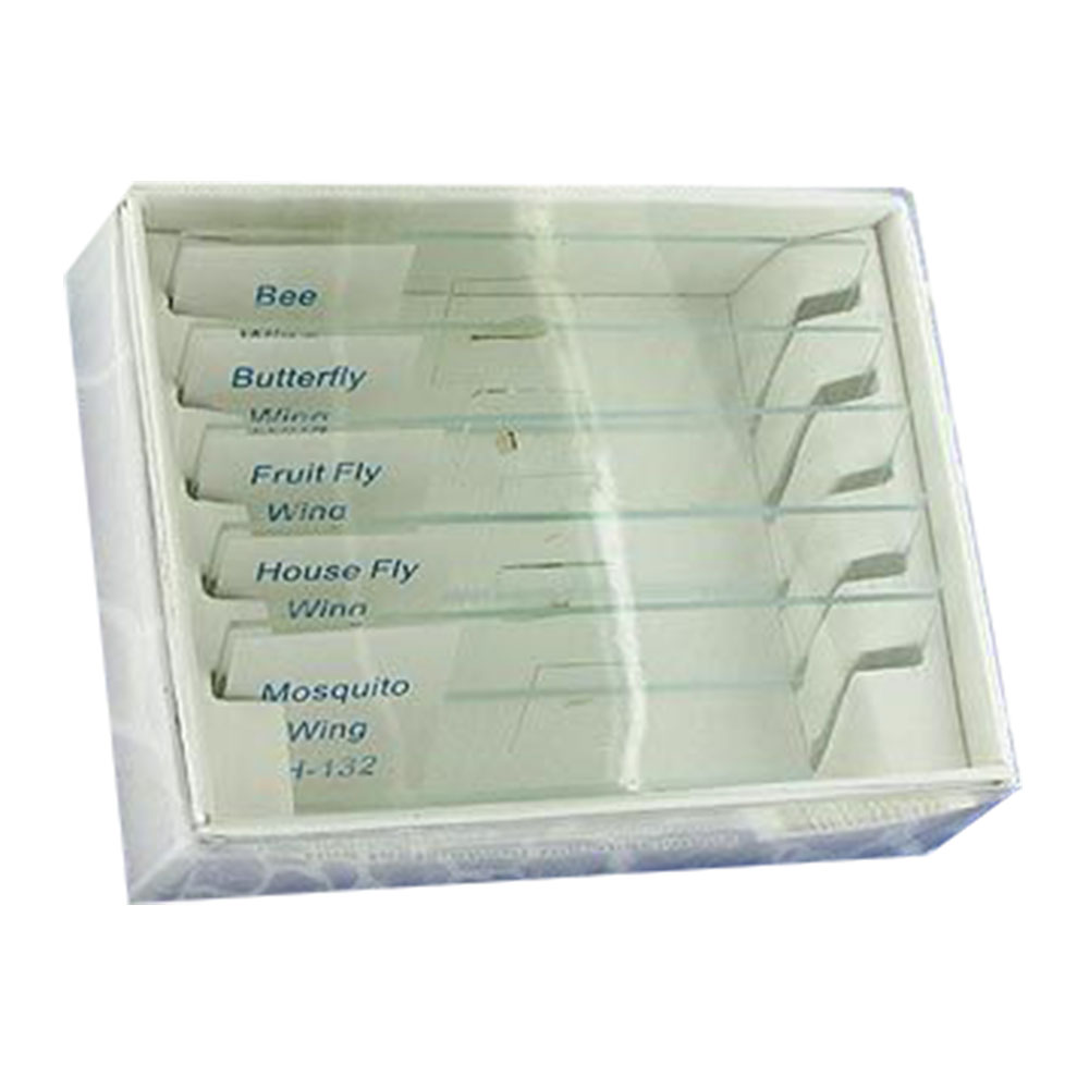 Prepared insect wing slide kit