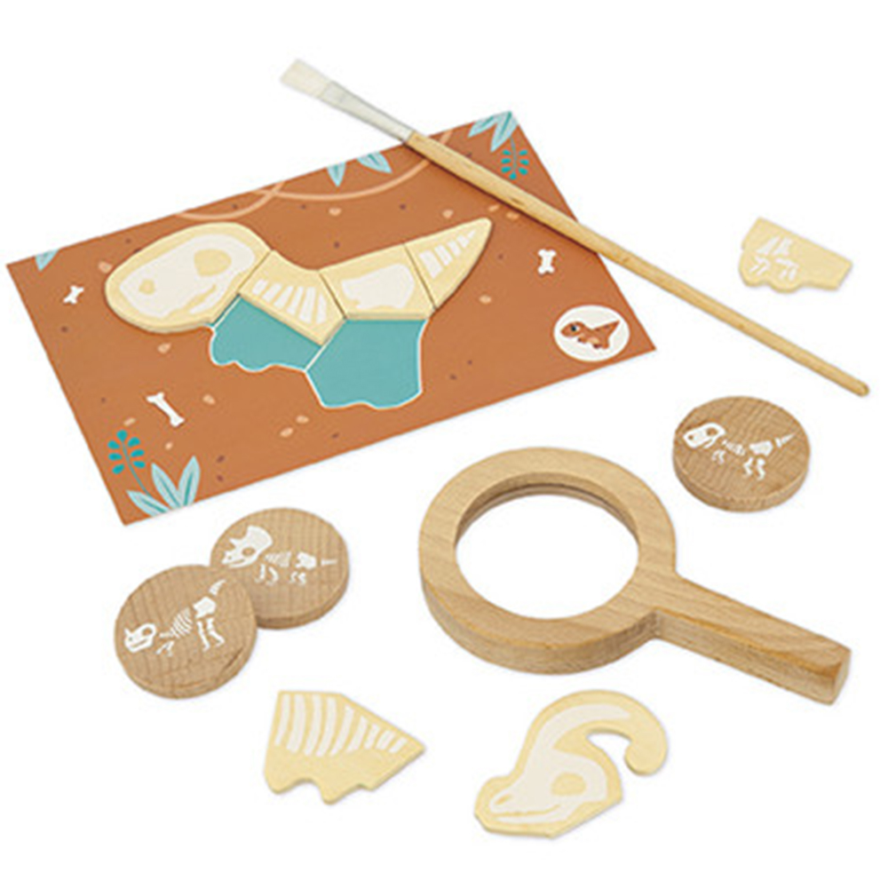 Junior Paleontologist Excavation Kit – Dig & Discover Dinosaurs