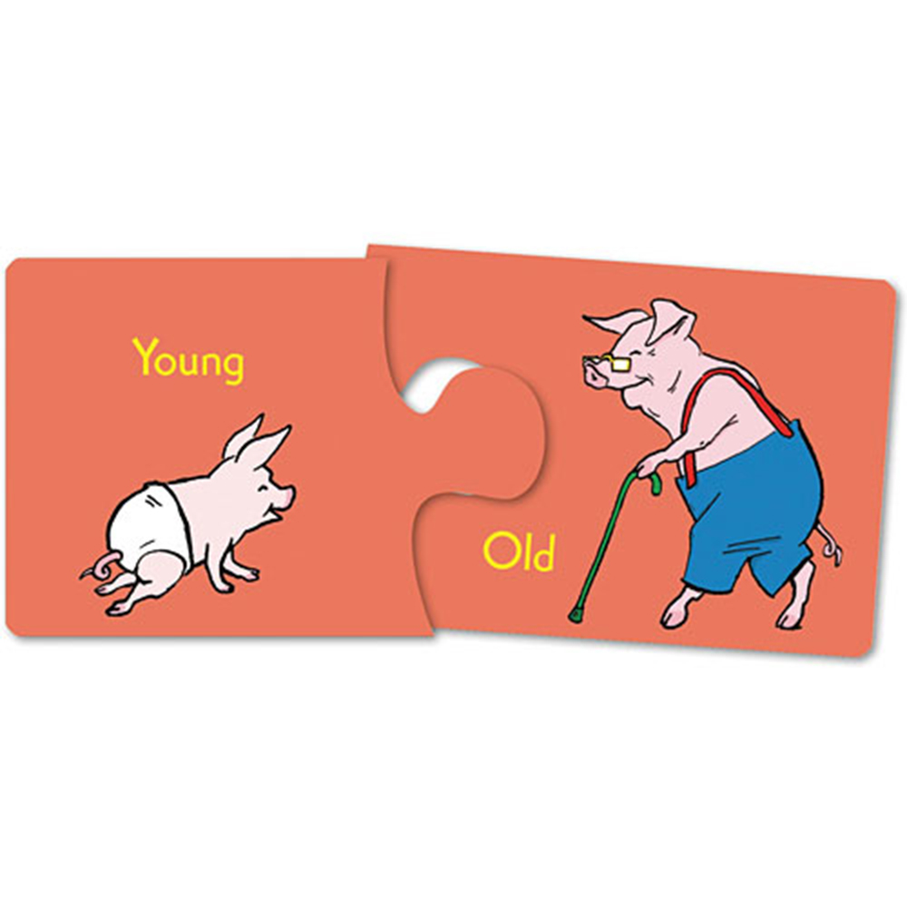 Opposites Puzzle Pairs