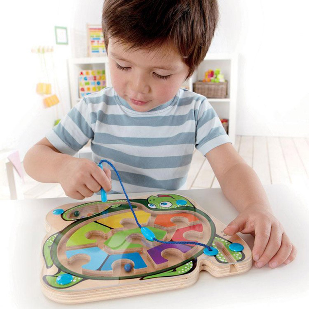 Colorback Sea Turtle Color Sorting Maze